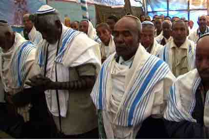 Home [anusimproject.com]